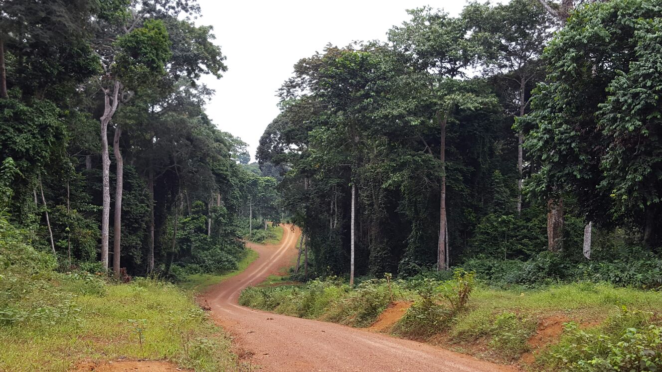 Résumé d’évaluation du Projet "Partenariat Public/Privé pour gérer ...